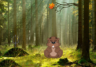 Beaver Forest Escape - Escape Fan