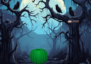 Find The Cute Pumpkin Mummy - Escape Fan