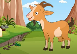 Preserve River Staggering Goat - Escape Fan