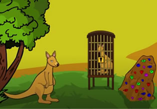 Free The Mother And Baby Kangaroo - Escape Fan