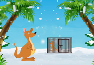 Free The Mother And Baby Kangaroo - Escape Fan