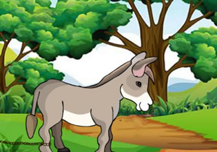 Donkey Chain Rescue - Escape Fan