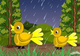 Monsoon Coop Escape - Escape Fan