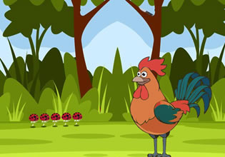 Rooster Release Trapped Hen - Escape Fan