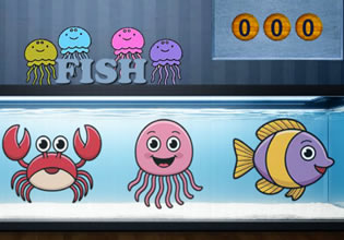 Find Playful Sea Buddy Finn - Escape Fan