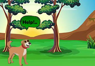 Dog Meets Missed Buddy - Escape Fan