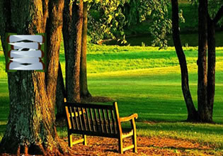 Autumn Forest Escape - Escape Fan