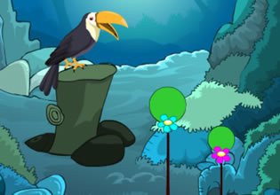 Wildlife Park Escape - Escape Fan